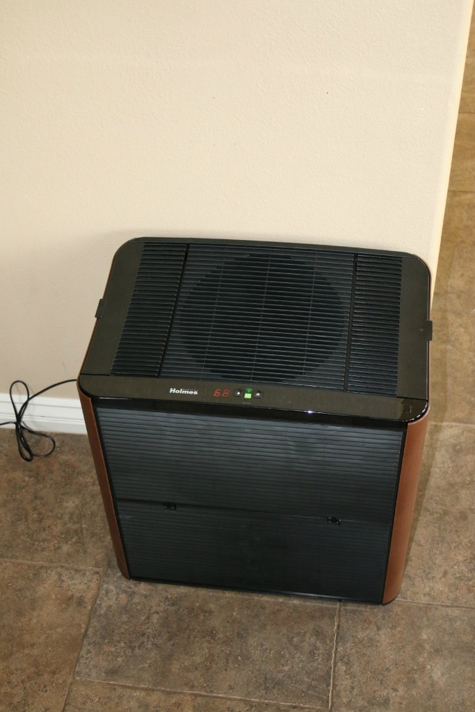 Get Ready For Winter With A Humidifier | It's a Lovely Life!