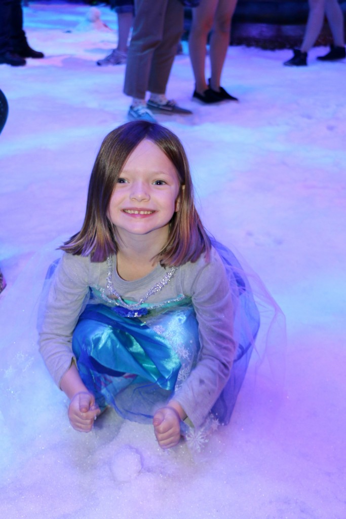 Frozen Fun at Disney California Adventure | It's a Lovely Life!