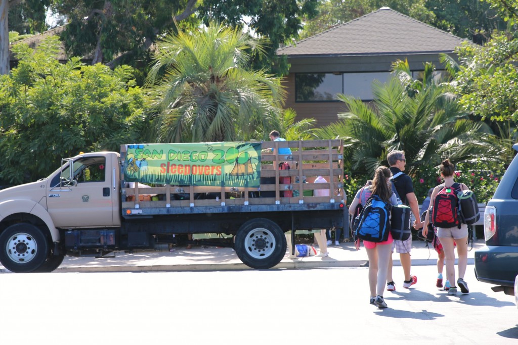 San Diego Zoo Sleepover To Celebrate THE WILD LIFE Movie | It's a ...